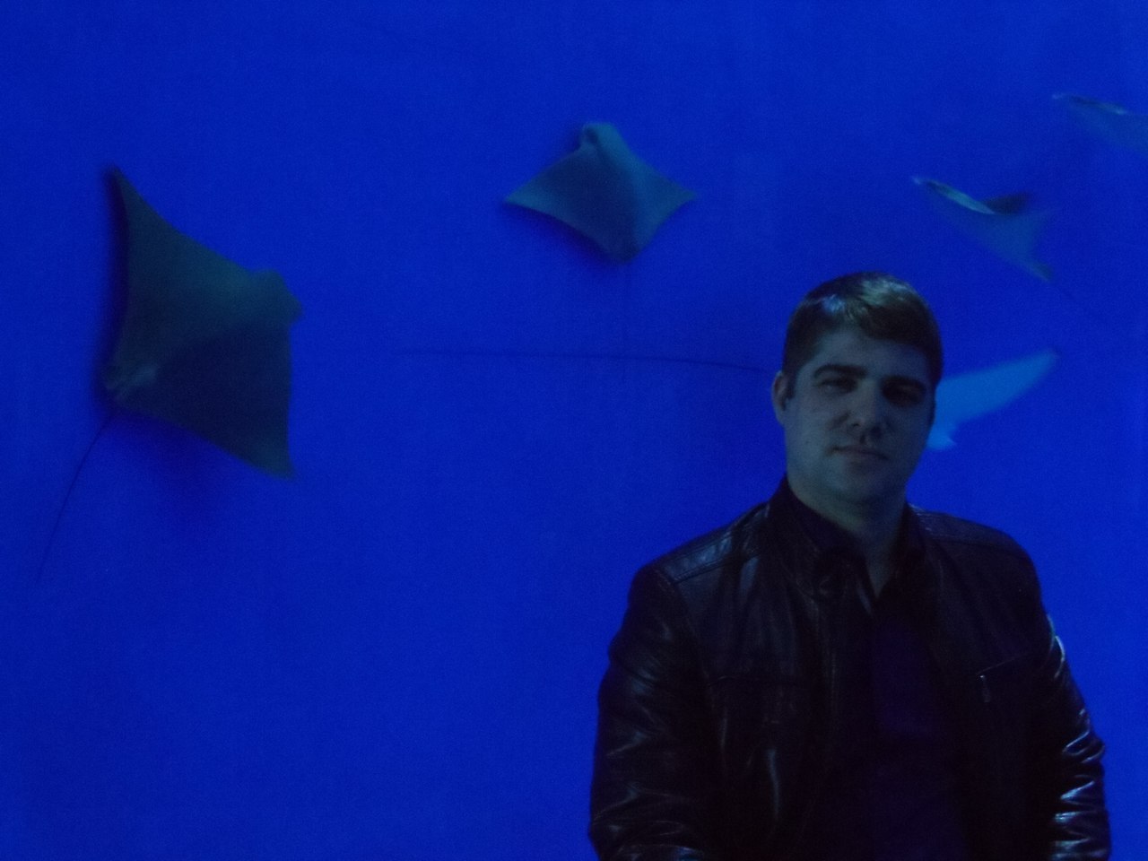 Александр Плетус