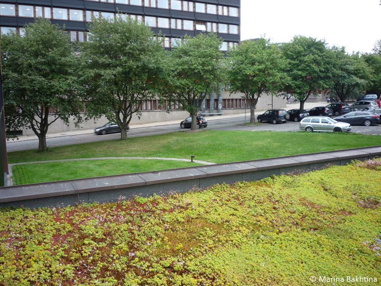 09 Green roof in Oslo /University of Oslo, Blindern | Marina Bakhtina