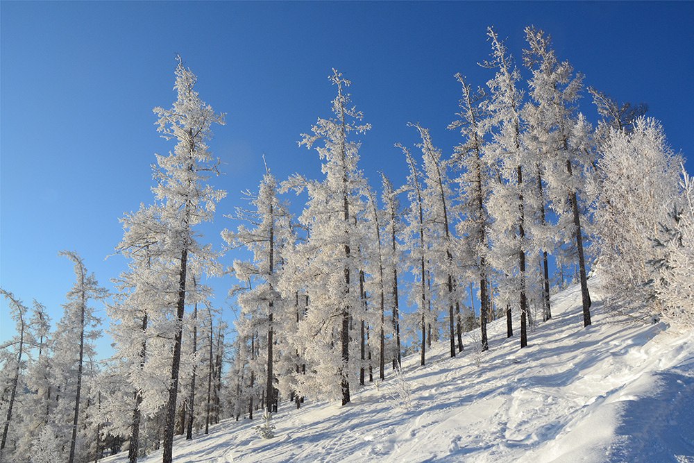 Russian Winter : r/pics
