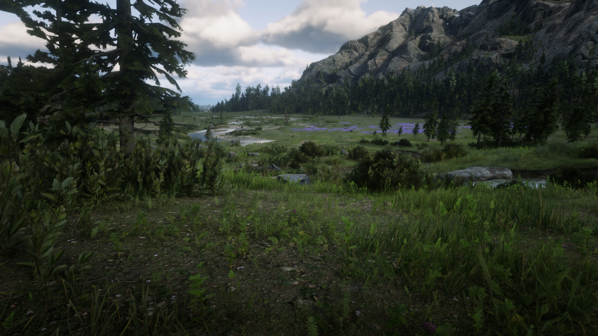 The RDR2 Beta Hunt - Red Dead Redemption 2 - GTAForums