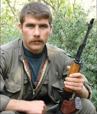 Classify blonde Persian male from Iran - Page 3