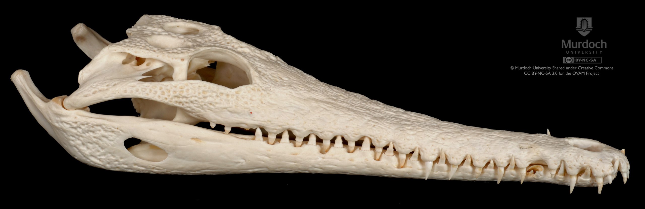 He1d52Hm4AQ.jpg (2560×830)-花瓣网