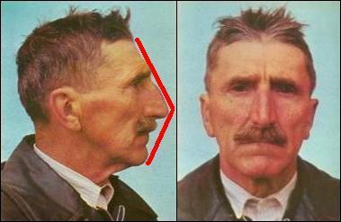 Dinaric race | Arktos