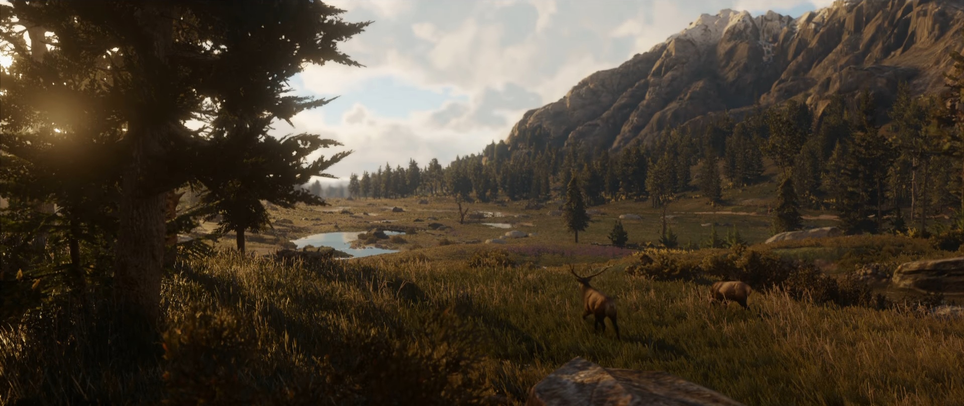 The RDR2 Beta Hunt - Red Dead Redemption 2 - GTAForums