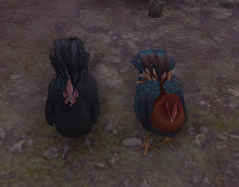 Mara's Spring Chicken — Elder Scrolls Online