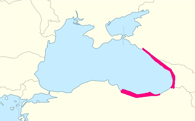 Geographic determinism of Pontid race