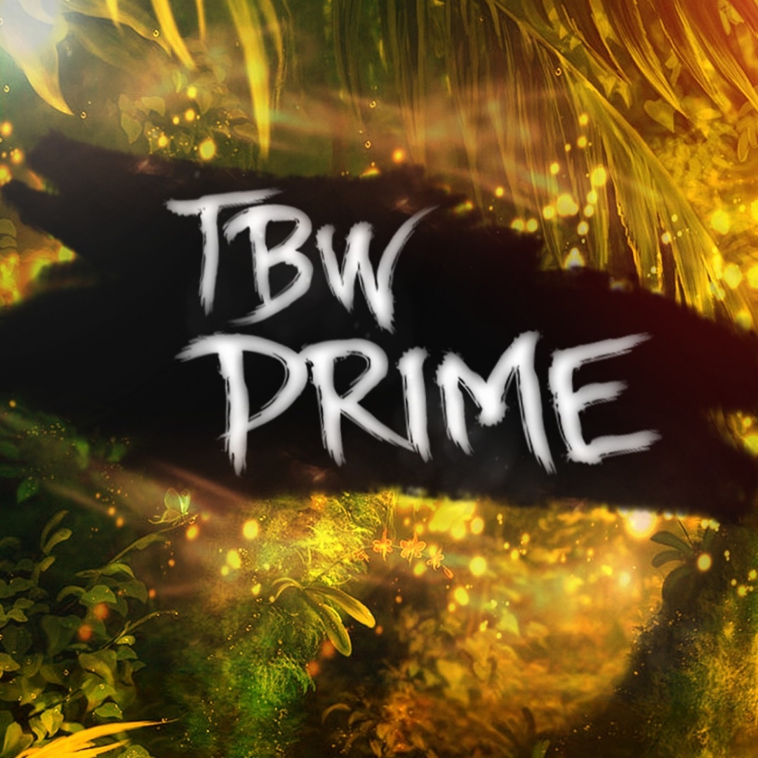 - Prime | VimeWorld - VimeTop